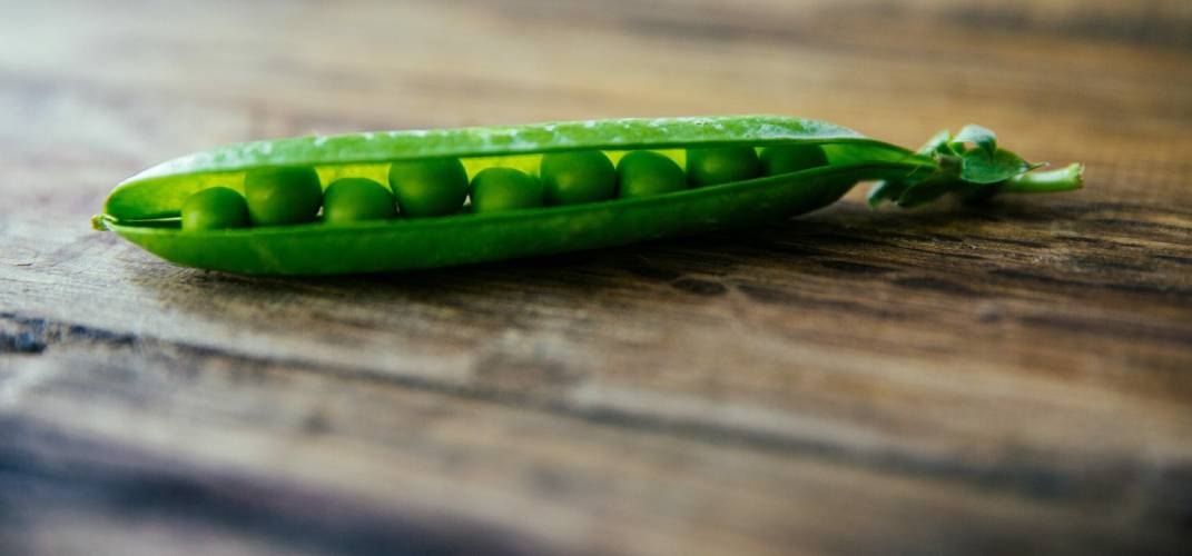 Peds in a Pod | Pediatricians in Midland, Texas